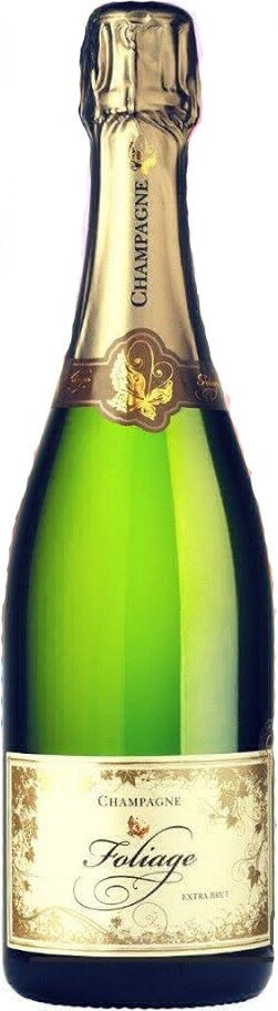 Шампанское Champagne Chateau d'Avize, "Foliage" Extra Brut - купить ...