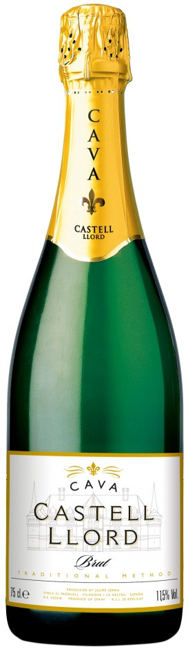 Игристое вино "Castell Llord" Cava Brut DO - купить Шампанское и ...
